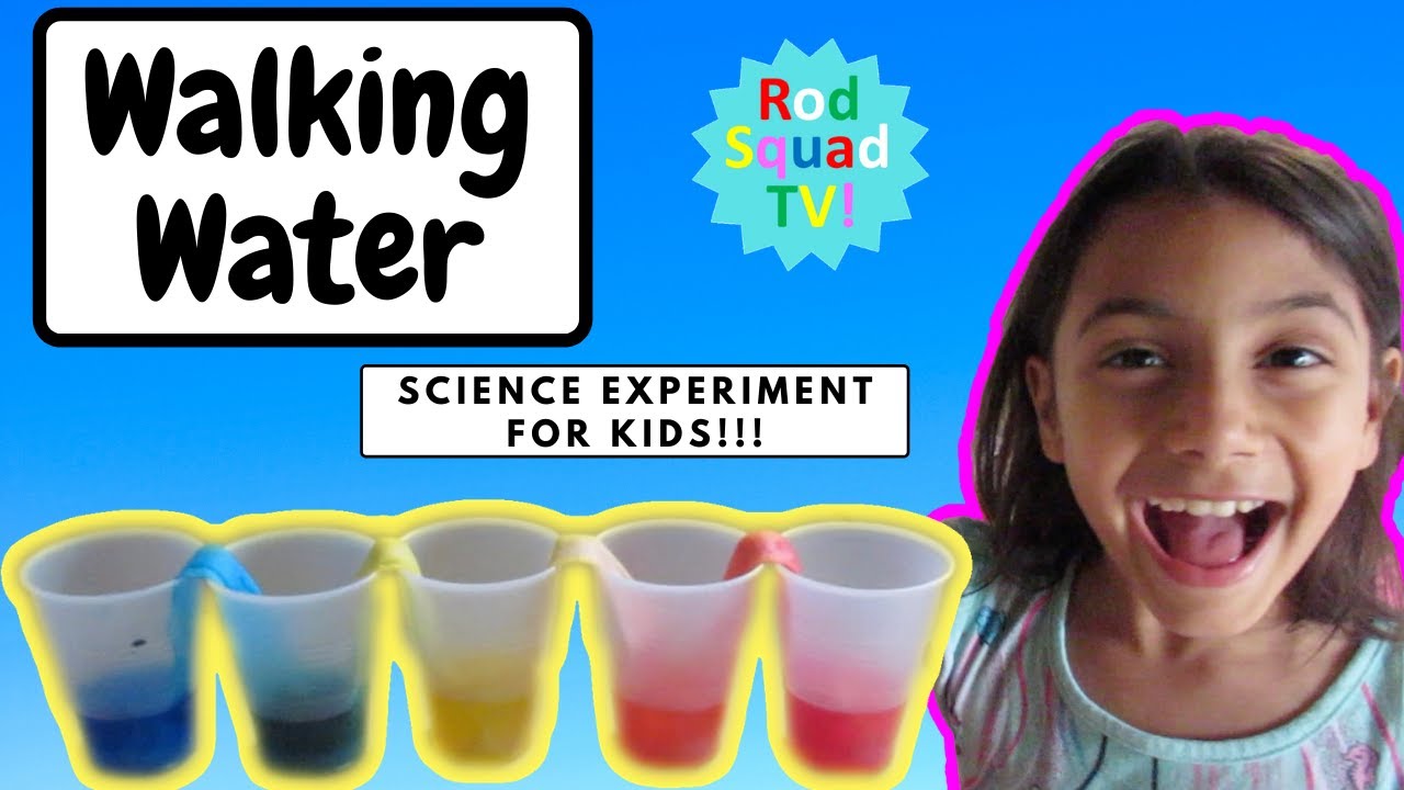 Walking Water Science Experiments for Kids!!! - YouTube