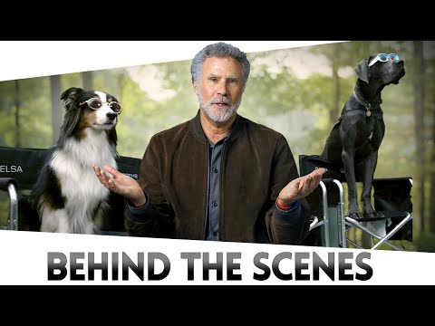 Watch Strays | Now on DVD & Digital