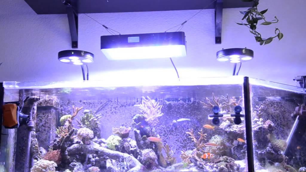 Coral Box Moon LED Coverage. - YouTube