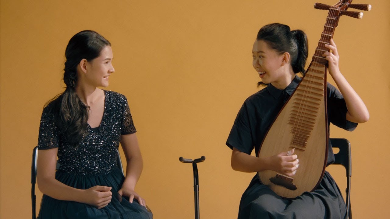 Chinese String Instrument