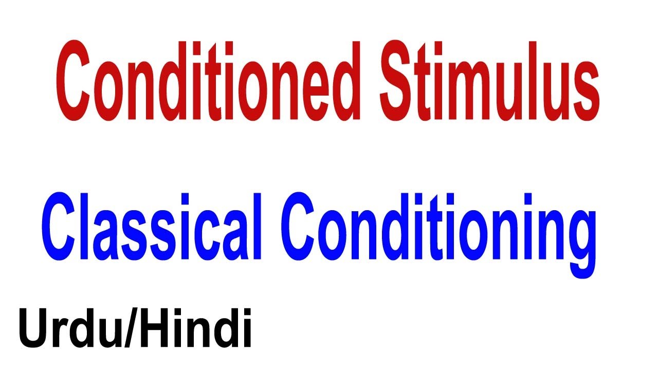 What Is Conditioned Stimulus Classical Conditioning Urdu Hindi What Is Conditioned Stimulus Classical Conditioning Urdu Hindi