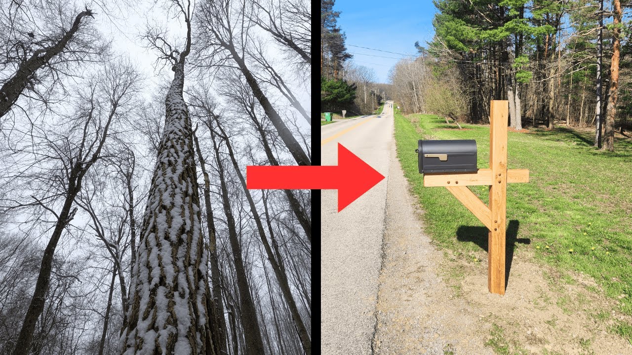 Turning a Tree Into a Timber Frame Mailbox From Scratch - YouTube