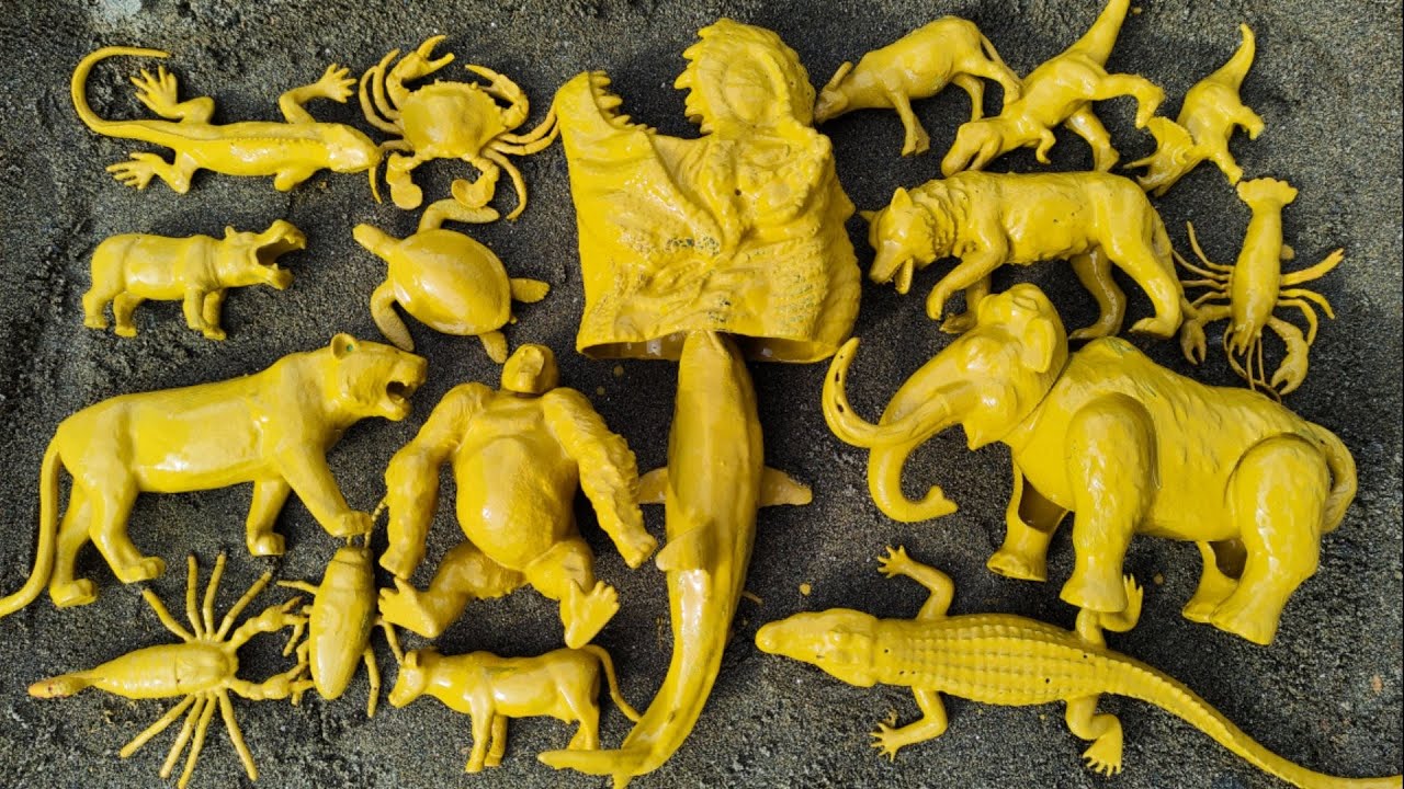 Membersihkan hewan leopard, hiu megalodon, mammoth, kingkong, serigala ...