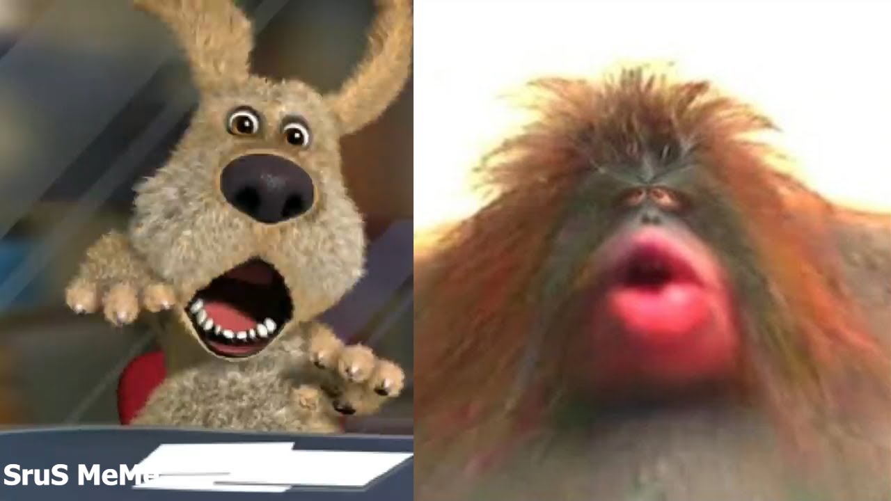 Talking Ben chooses monkeys: - YouTube