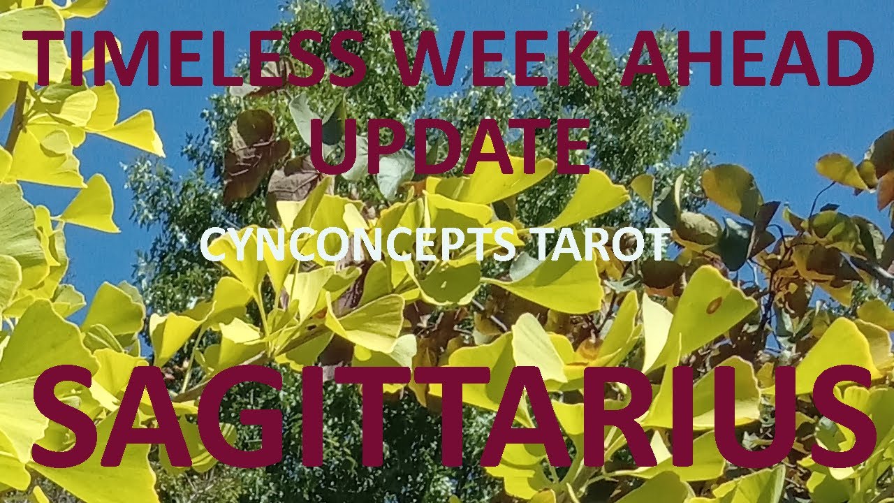 Sagittarius, "Put Your Earthly Possessions in Order!" Timeless Week ...