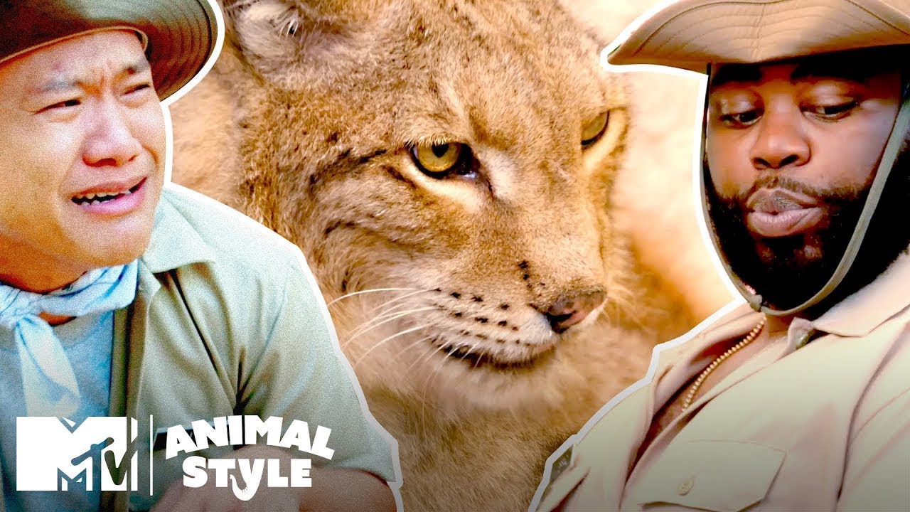 Tim & Darren FACE 2 Dirty (Dirty!) Tortoises & 1 Grumpy Lynx | MTV ...