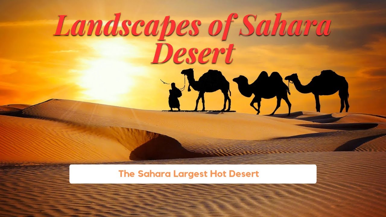 Sahara Unveiled//The Desert’s Hidden Treasures - YouTube