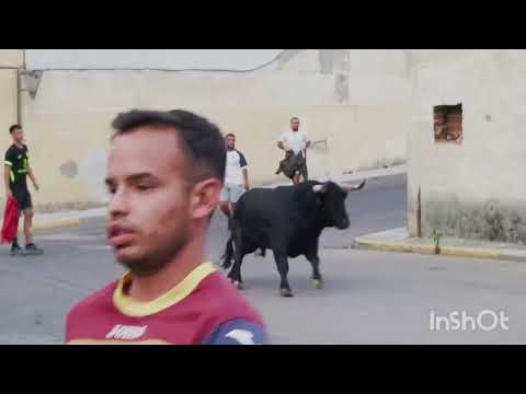 Encierro de Yuncos 4-9-2026 #toro #toros #bull #torodecajon