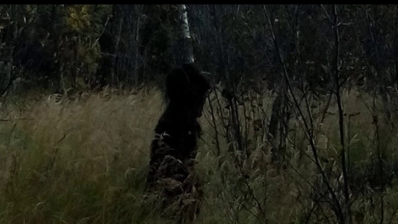 Sasquatch sighting in northern Canadian wilderness - YouTube