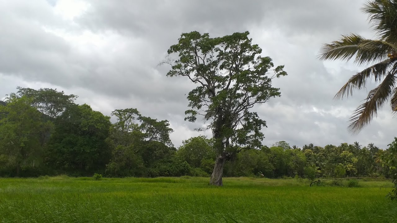 Beautiful plce in srilanka - YouTube