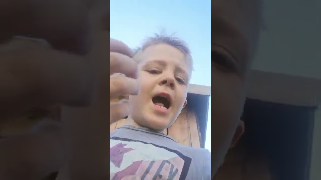 seeeeeeeeeeeeee - YouTube