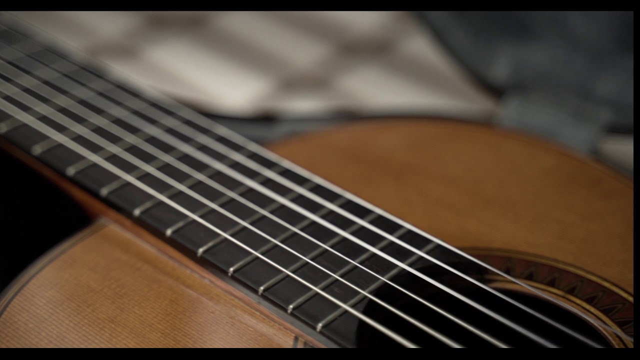 Leona Cases レオナケース Luthier Series Carbon Case クラシックギター用ハードケース 2 - YouTube
