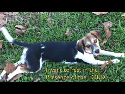 "the dog praise song" Fan Video - YouTube