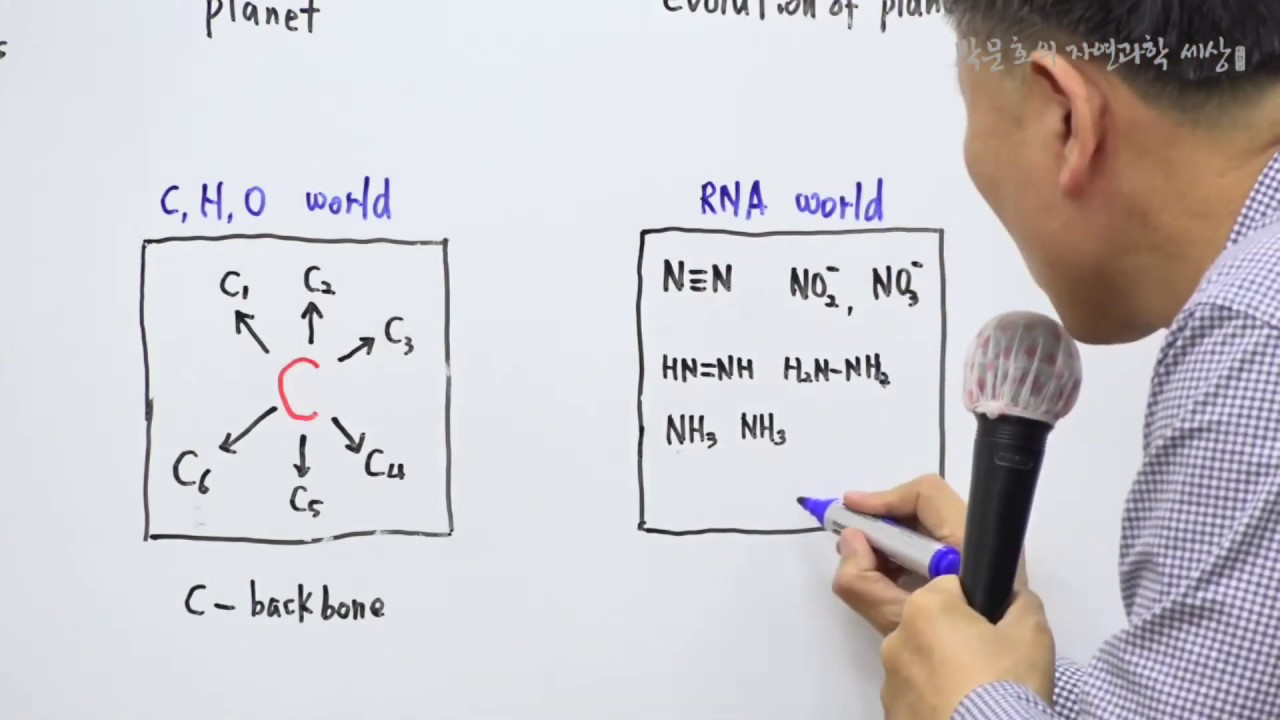 12.RNA World - YouTube