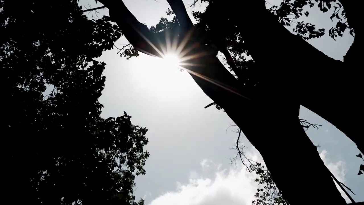 Profil Prof. Dr. H. Jamaluddin, M.A (Dalam Bidang Sejarah & Pradaban ...