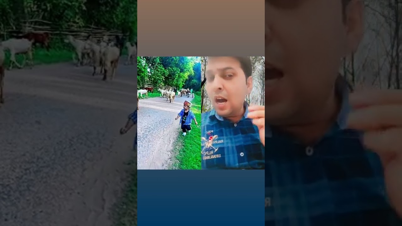 ## Bhedhan chaarni ho## ## cool rk## 🐏🐏🐏🐏🐏🐏🐑🐑 - YouTube