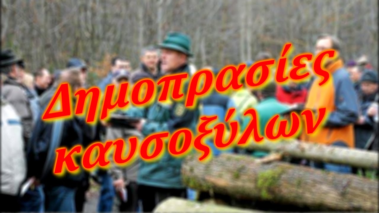 Δημοπρασίες καυσοξύλων 30-12-2019 - YouTube
