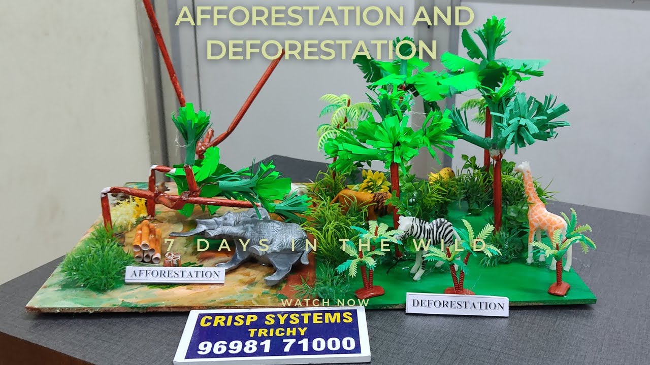 Afforestation and Deforestation School Project | Save Tree Save Earth ...