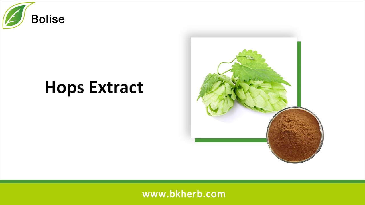 Hops Extract, Supplement Review, Manufacturer, Bulk Buy - YouTube