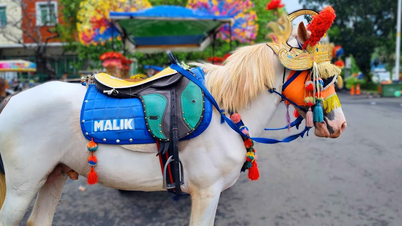 NAIK KUDA - KUDA DELMAN - NAIK DELMAN ISTIMEWA - LAGU DUA MATA SAYA - SATU SATU AKU SAYANG IBU ...