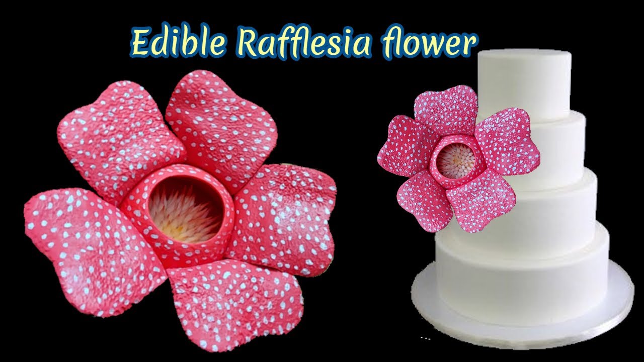 Beautiful Edible Rafflesia Flower | A Filipina in the UK - YouTube