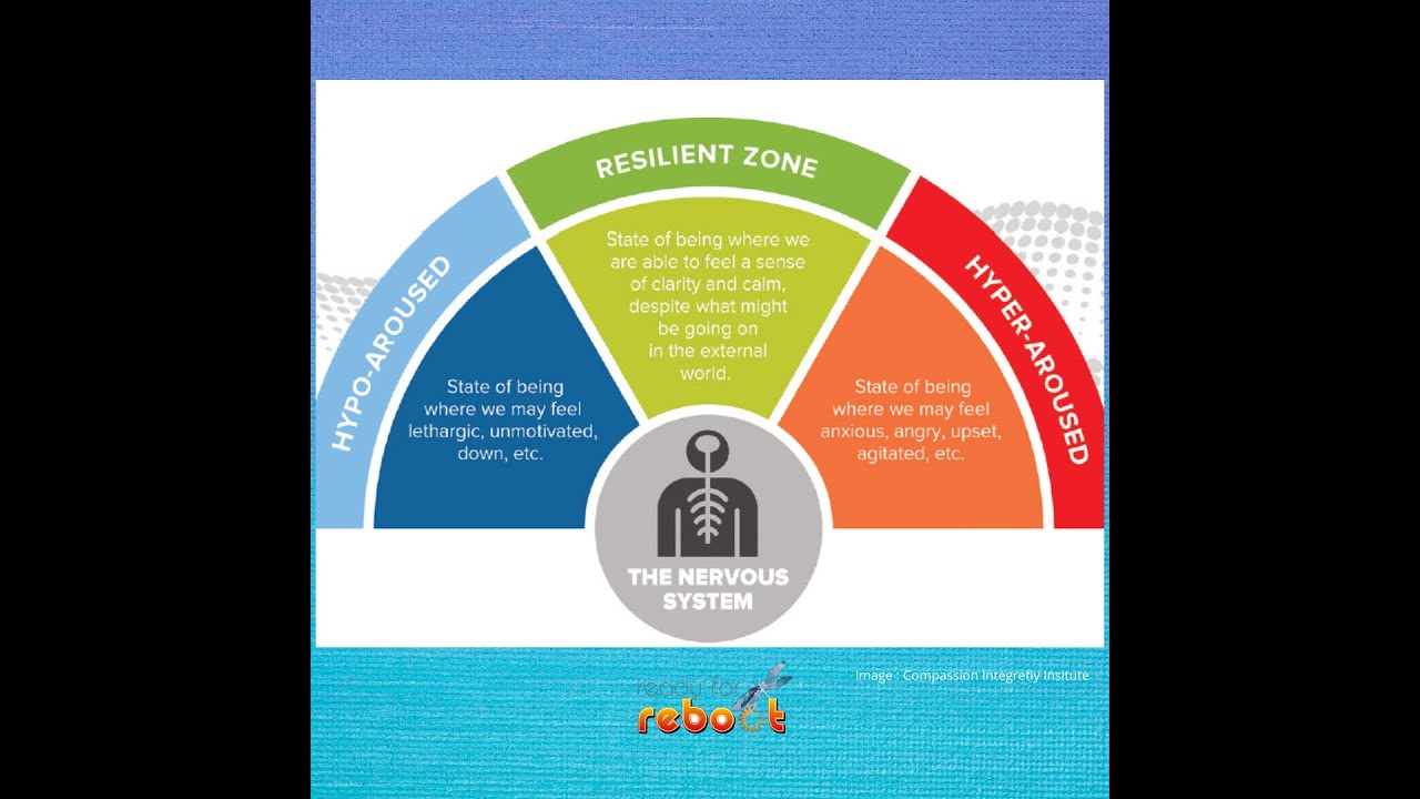 Staying in the resilient zone during the Coronavirus - YouTube