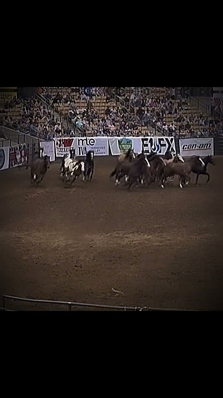 Clip from the rodeo I edited🐴🫶🏼 #foryou #horse #equestrian #rodeo # ...