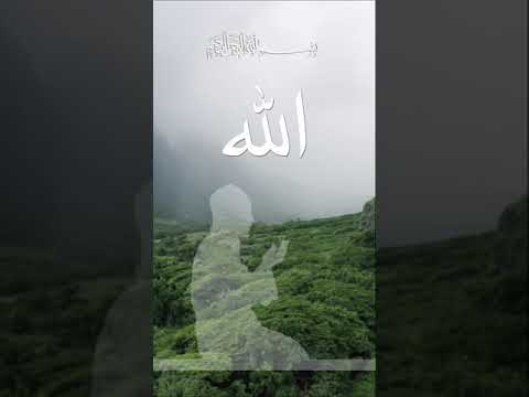 Allah'ım... Kısa Güzel Bir Dua #Shorts