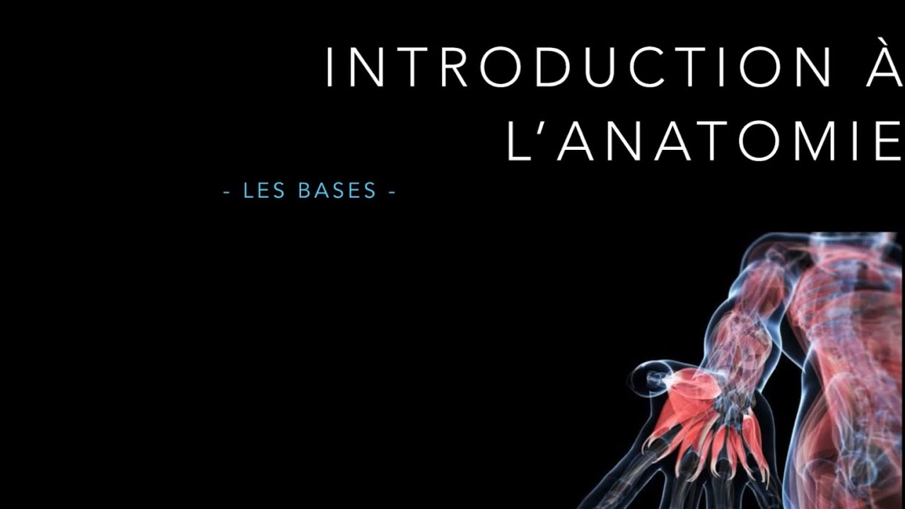 Introduction à l’anatomie -2- position anatomique de référence et ...