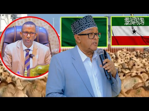 “Habaryoonis ayaa Xilalka maroorsan doona ayaa lays lahaa laakin may ...