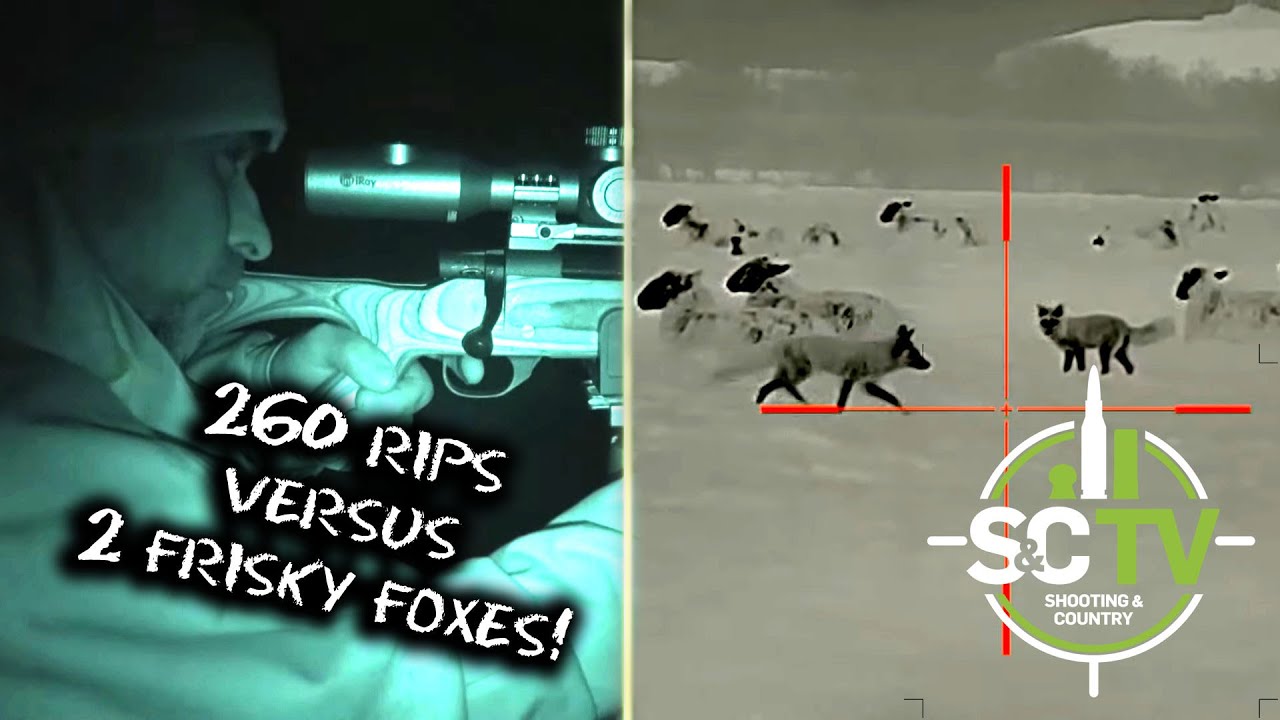 S&C TV | Foxing with Mark Ripley 260RIPS, 8 | Fox control during the ...