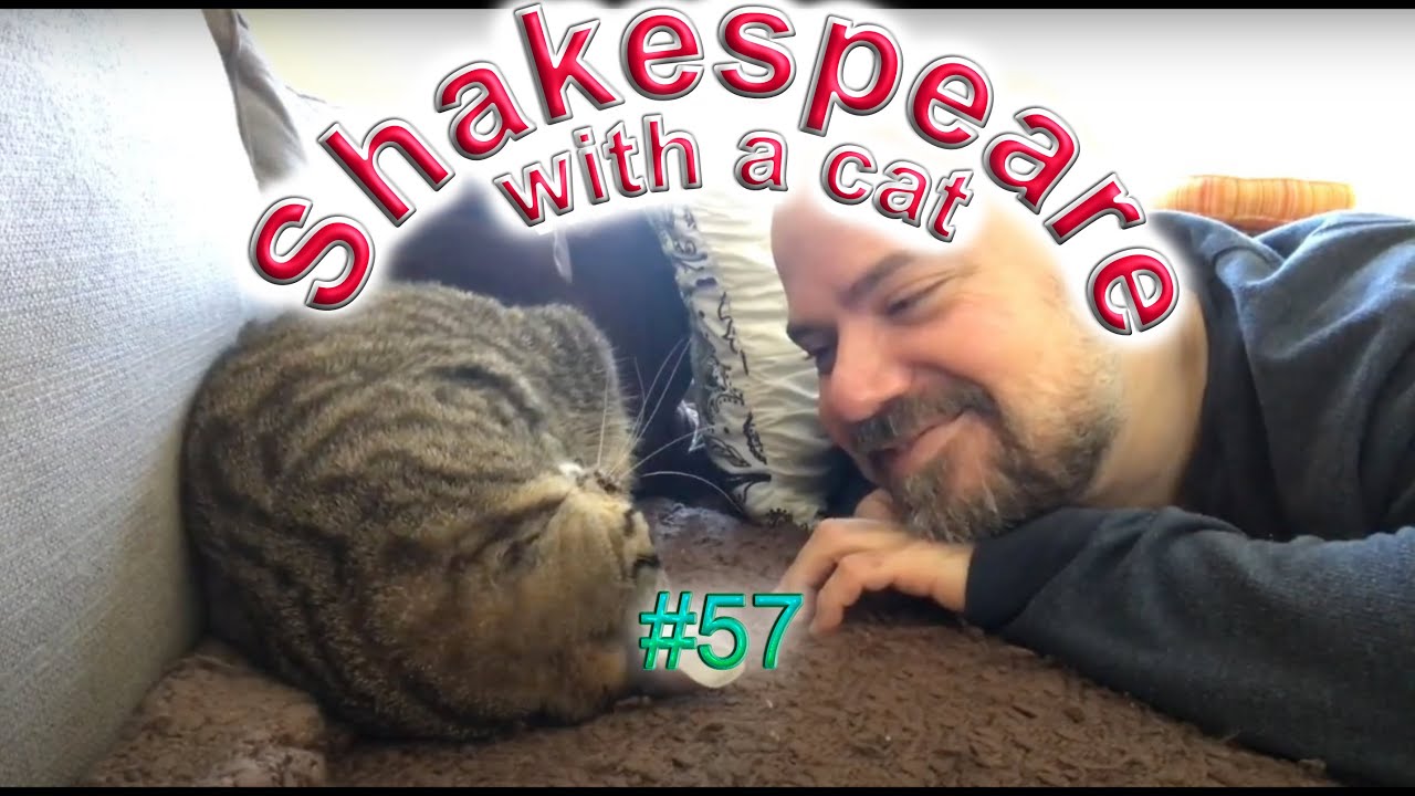 Sonnet 57 by William Shakespeare With a Cat - YouTube