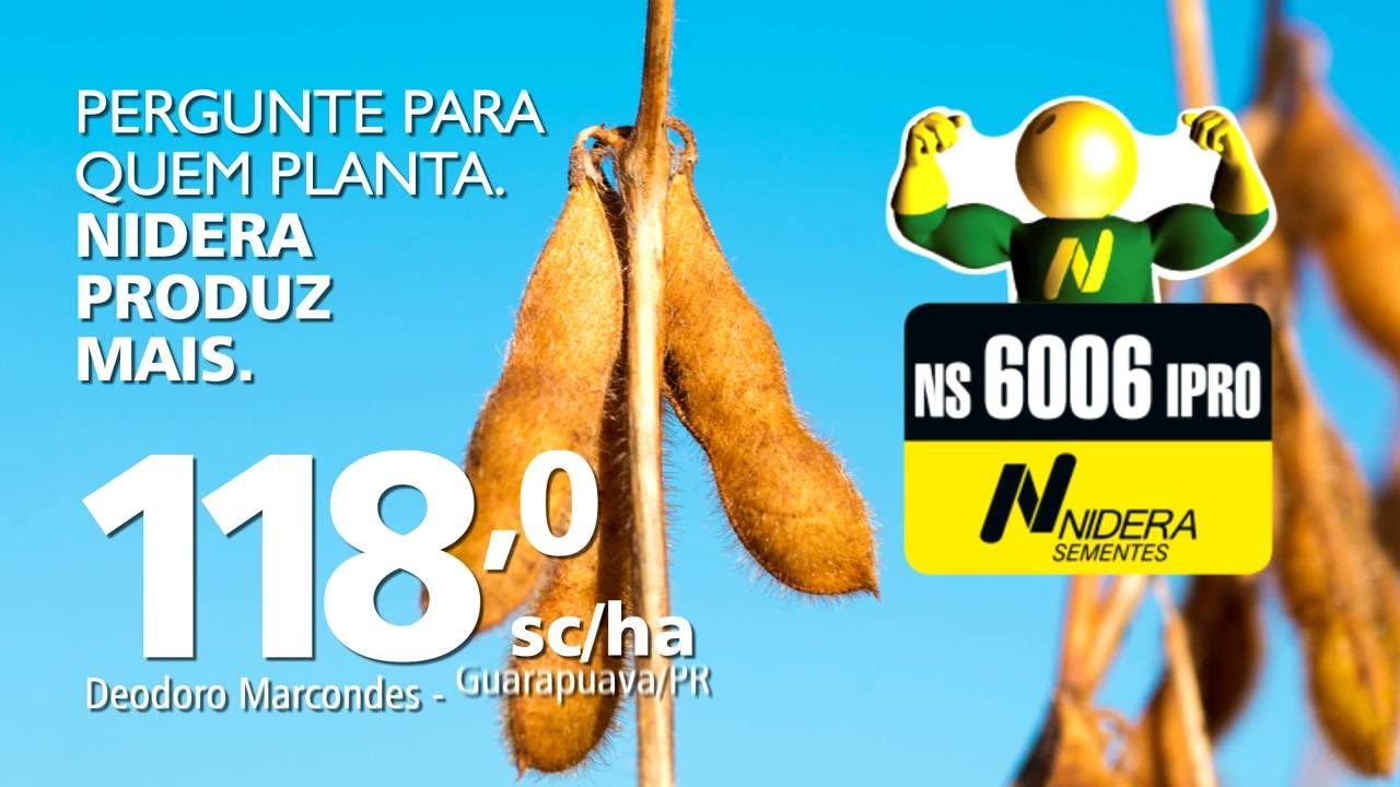NIDERA SEMENTES - Campeão de produtividade - NS 6006 IPRO - YouTube