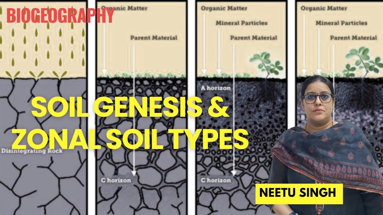 Soil Genesis & Zonal soil types | UPSC | Neetu Singh - YouTube