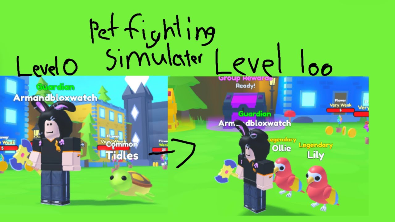 Pet fighting simulator - YouTube