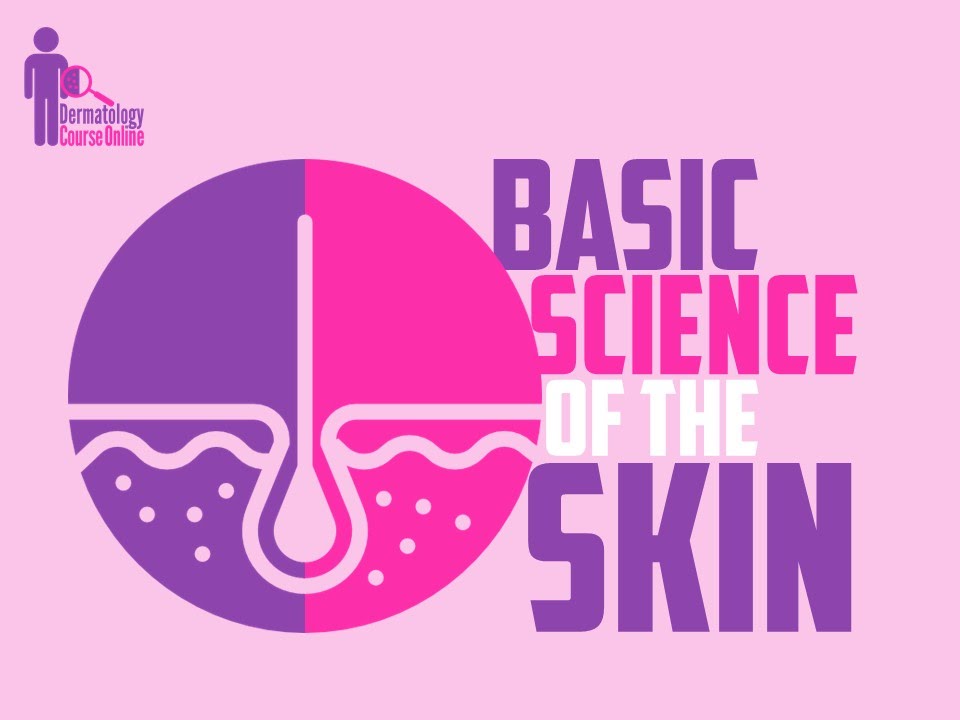 Basic Science of the Skin Lecture - YouTube