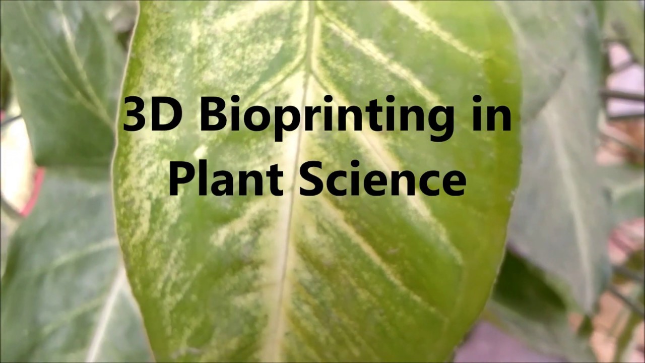 3D Bioprinting in Plant Science - YouTube