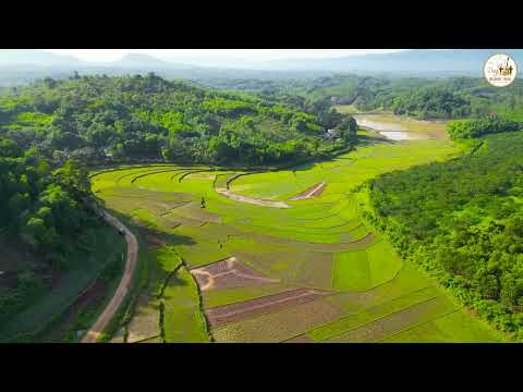 Ruhunuz İçin En Güzel Melodiler