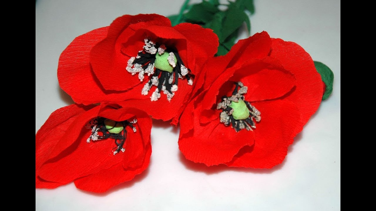 How to make tissue flowers - poppies Maki z bibuły DIY - YouTube