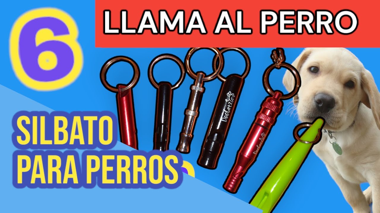 Llamar al perro Sonidos del silbido del perro🐶 🐕 Sonido para PERROS 🐶 🐕 ...