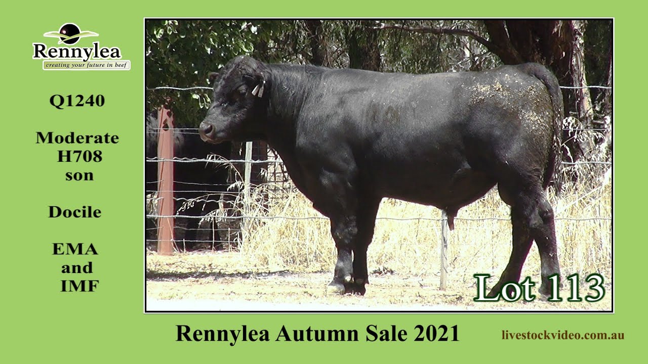 Lot 113 Rennylea Autumn 2021 - YouTube