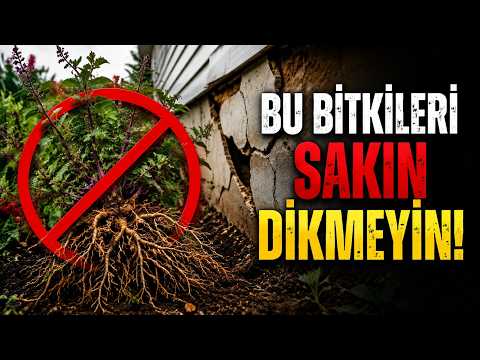 Bu Hataları Yapıyor Musunuz? Bahçenizi Sessizce Yok Eden İstilacı Bitkilerden Kurtulmanın Sırrı
