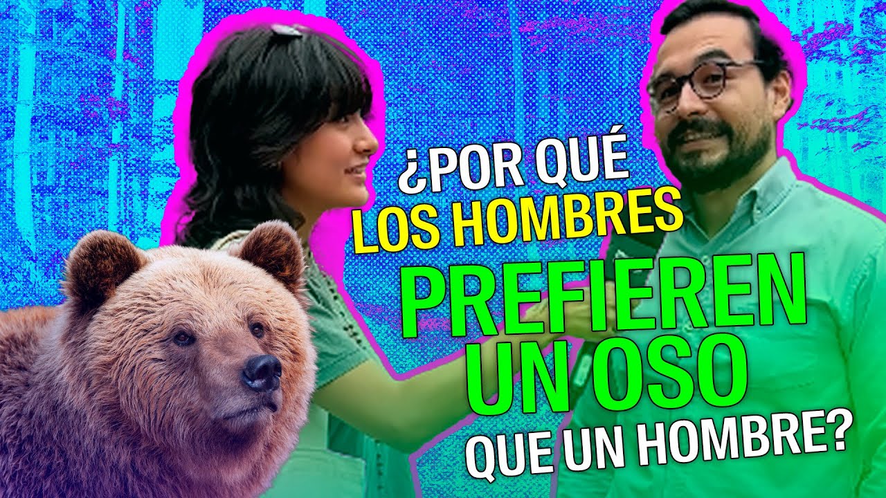 ¿Por qué los hombres también prefieren un oso que un hombre? | 📍 México ...