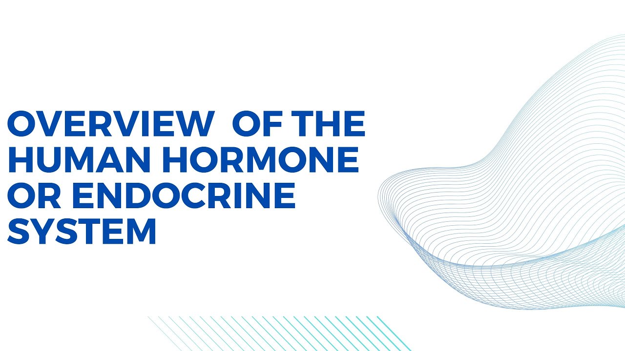 Overview of Human Hormone System - YouTube