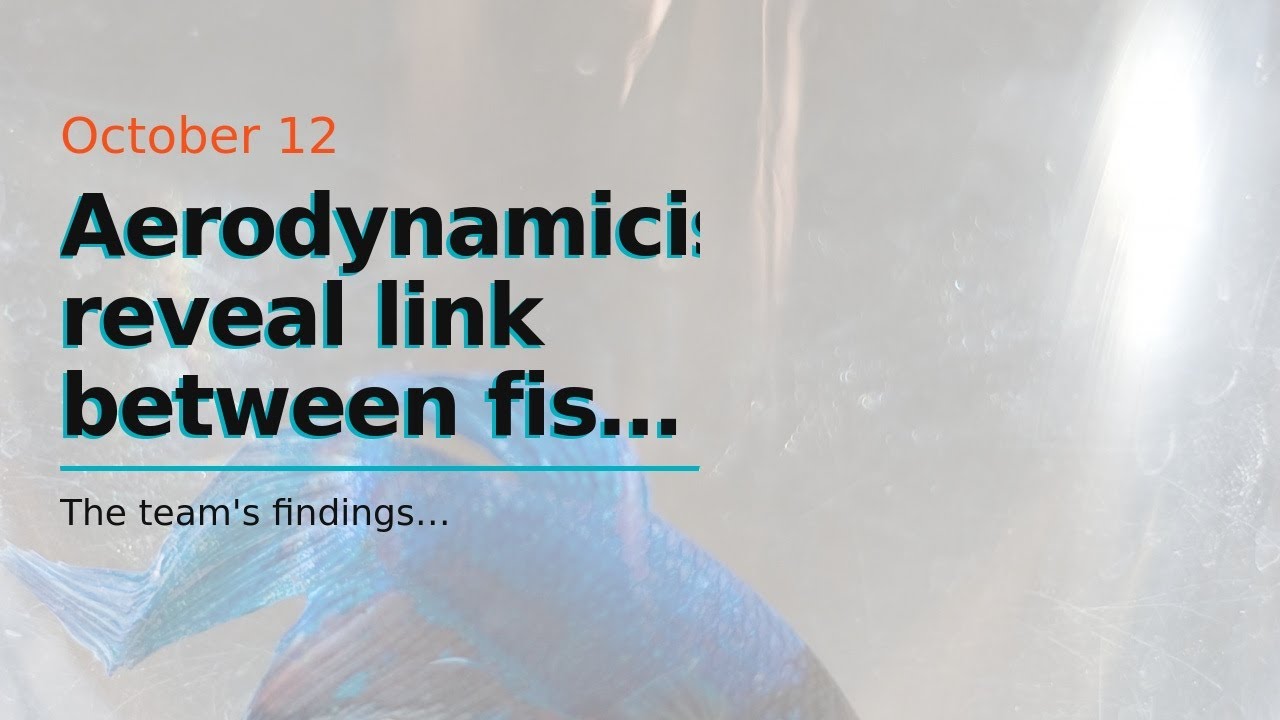 Aerodynamicists reveal link between fish scales and aircraft drag - YouTube