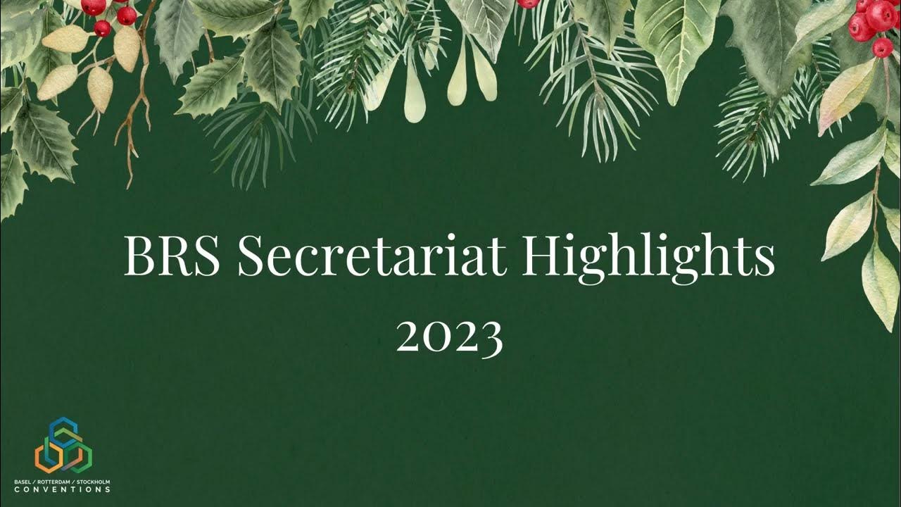 BRS Highlights 2023 - YouTube