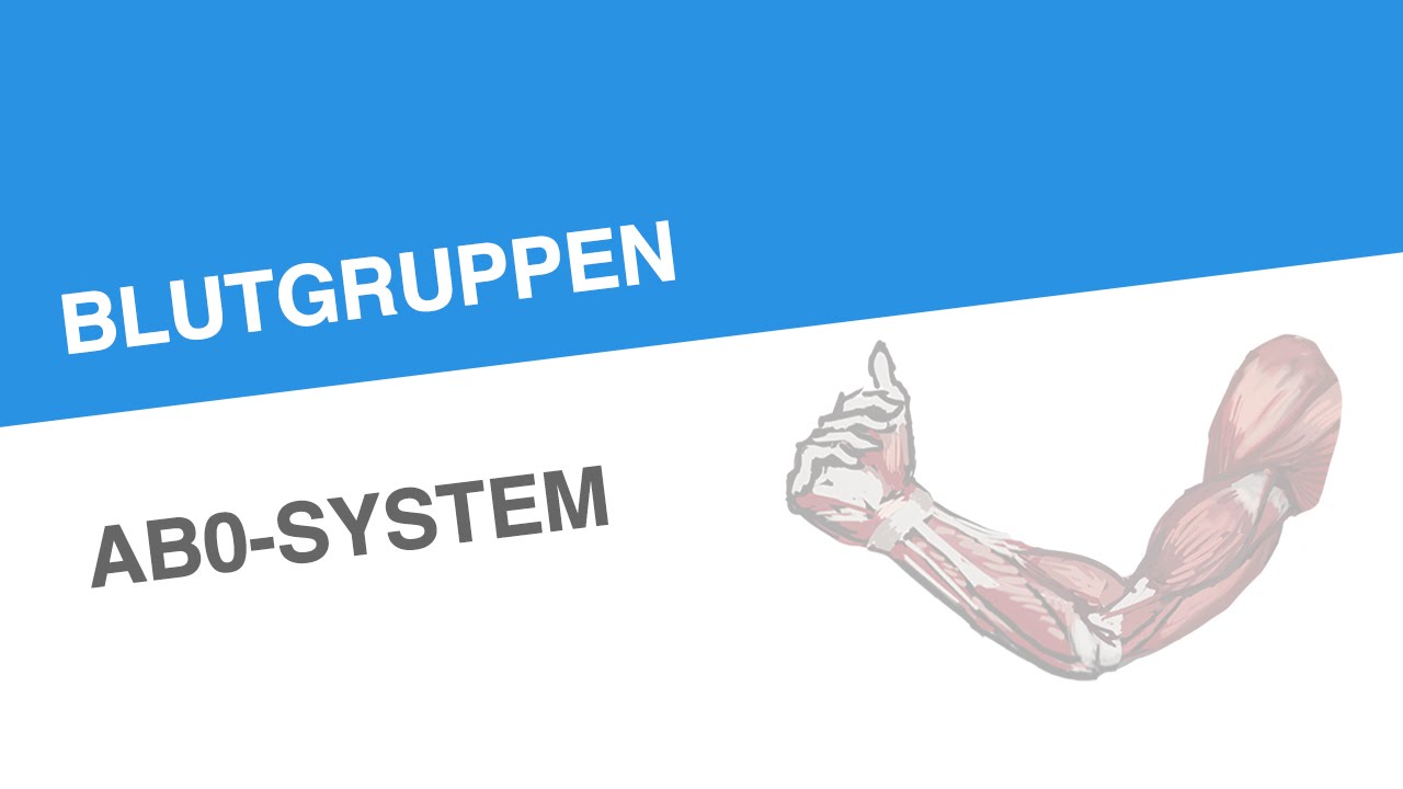 BLUTGRUPPEN AB0-SYSTEM | Biologie | Biologie des Menschen (Mittelstufe ...