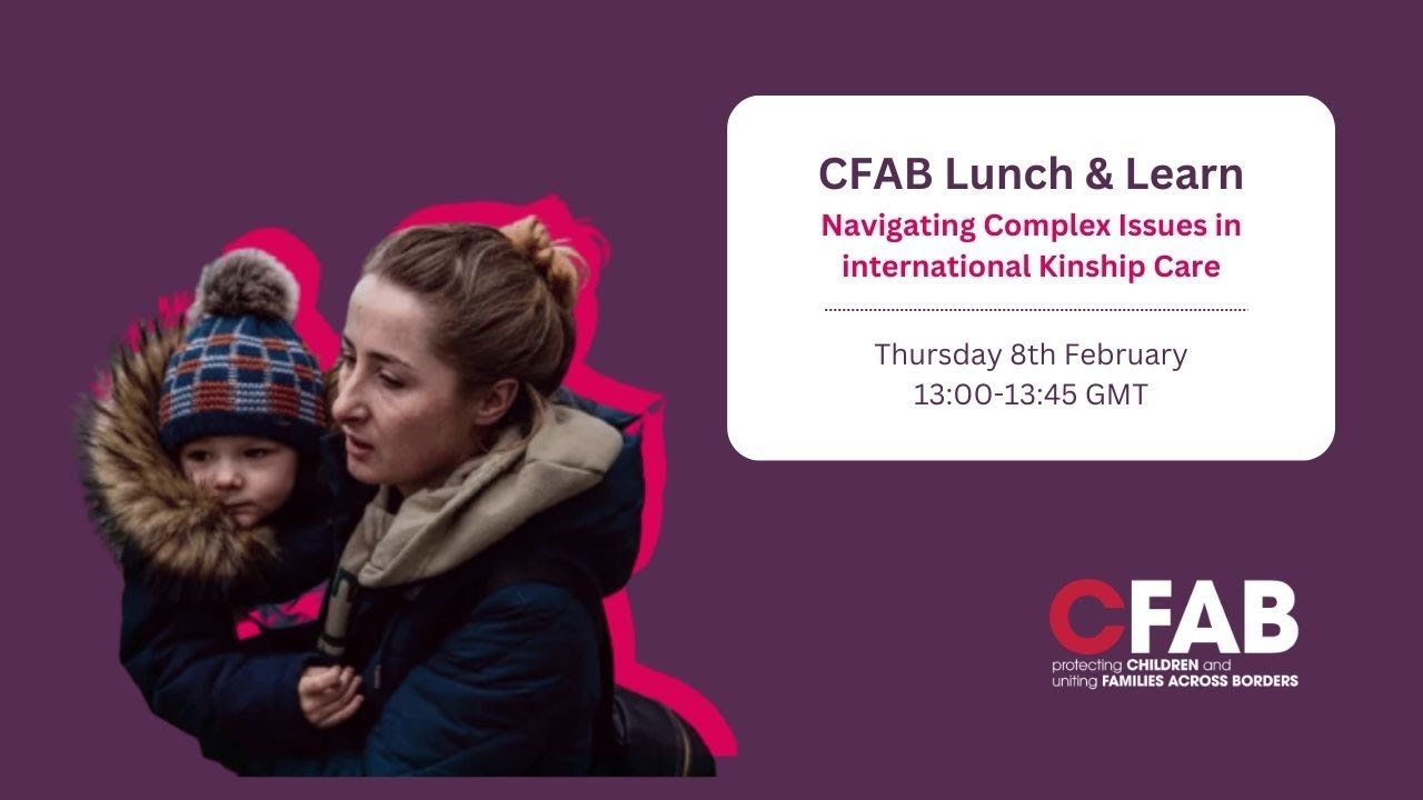 CFAB Lunch and Learn - Navigating Complex Issues in International ...