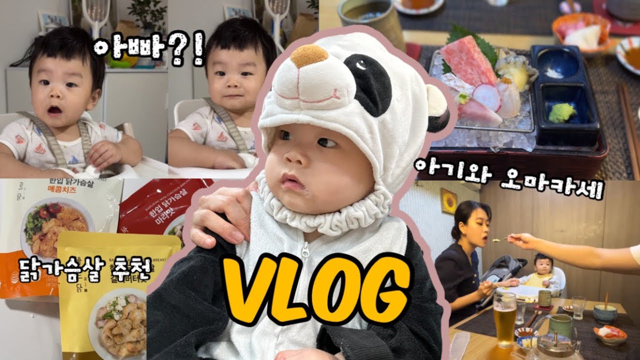 육아브이로그 푸바오로 변신한 아기 🐼 드디어 아빠라고 말하다 아기와 오마카세 가기 닭가슴살 추천 Youtube