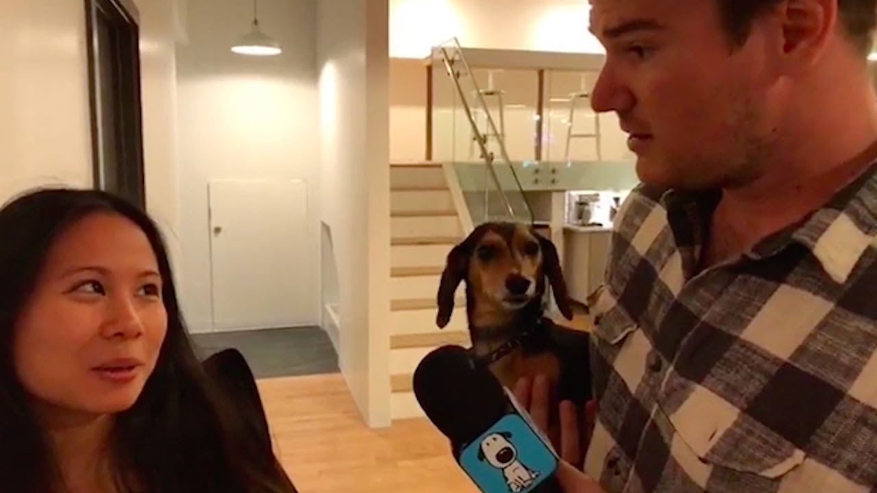 A Man And His Wiener Tour The New Floor At The BarkBox Office - YouTube